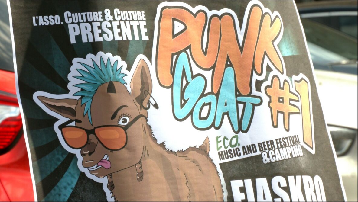 Punk Goat festival : un festival punk à la chèvrerie - TV8 Moselle-Est