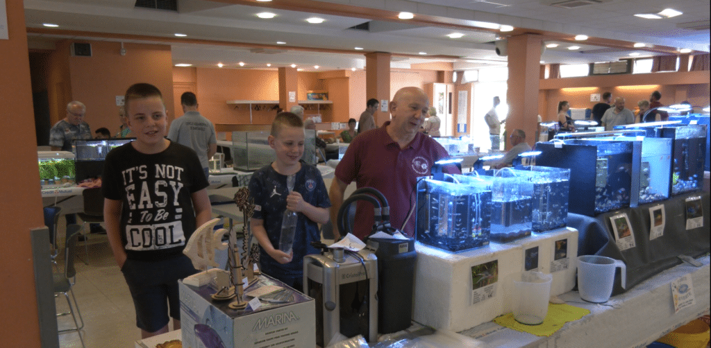 A vos aquariums ! La bourse aux poissons revient - TV8 Moselle-Est
