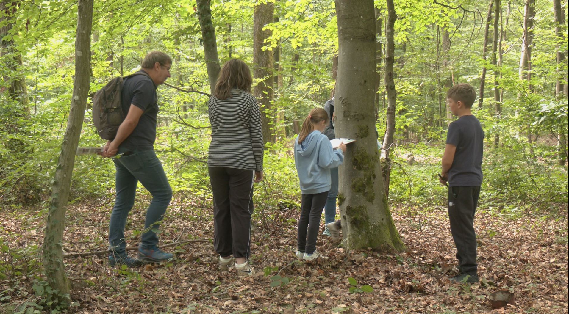 À la découverte des arbres de la forêt du Forst - TV8 Moselle-Est
